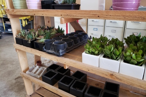 Greenhouse Shelving, Benches, Racks, and Stands